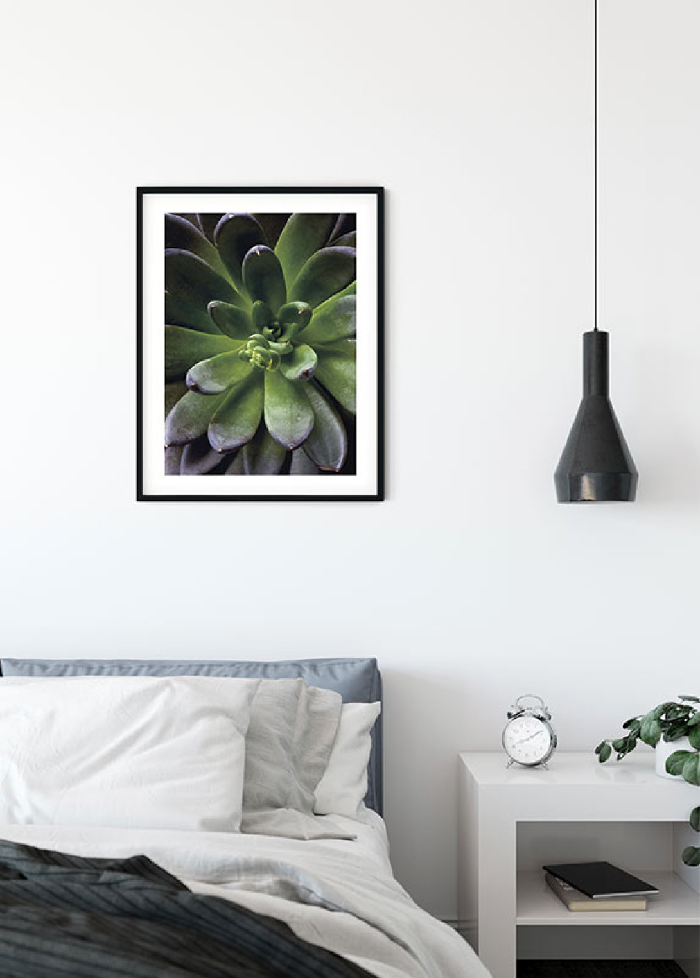 Art print "Succulent Single" with / without frame | starting at only 14 ...