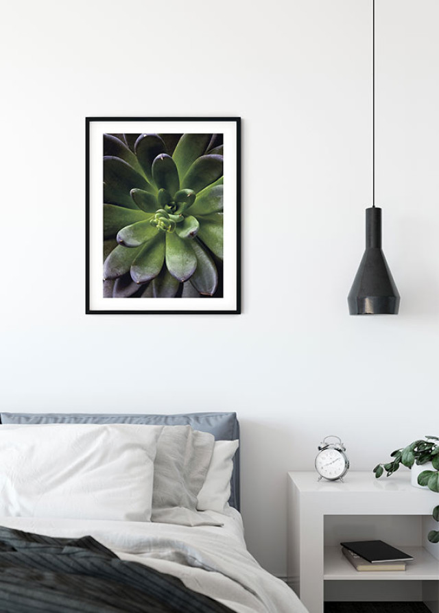 Art print "Succulent Single" with / without frame | starting at only 14 ...
