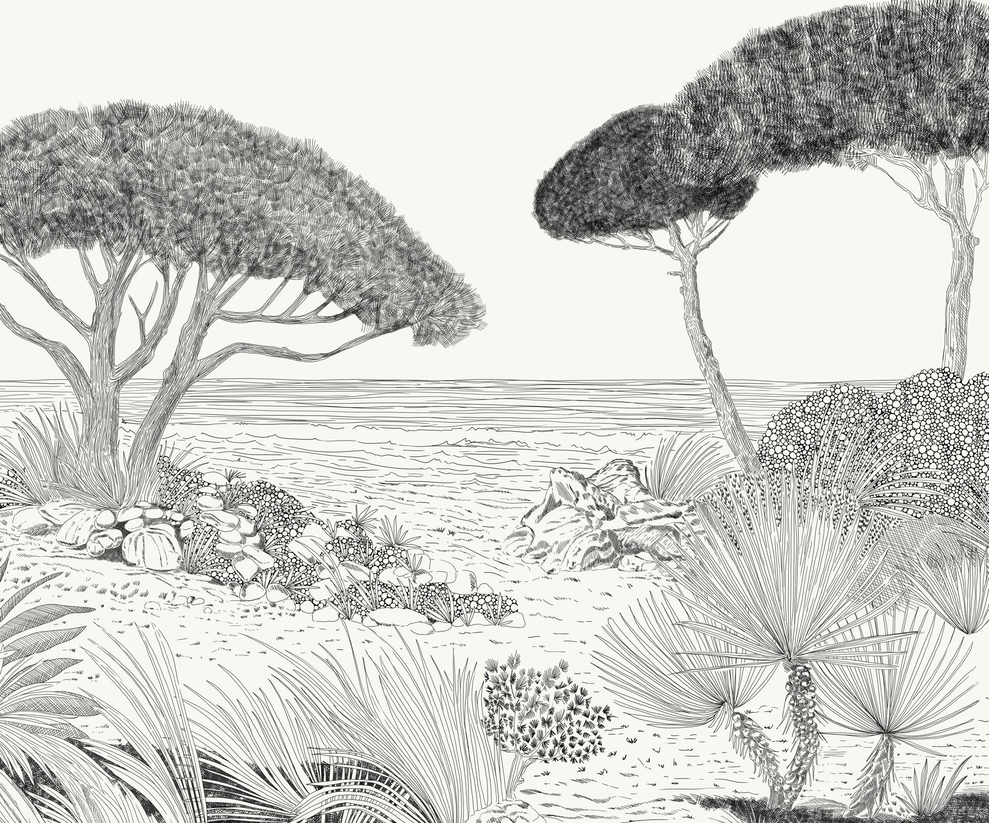 Shoreline - Coastal Sketch Art | Komar®