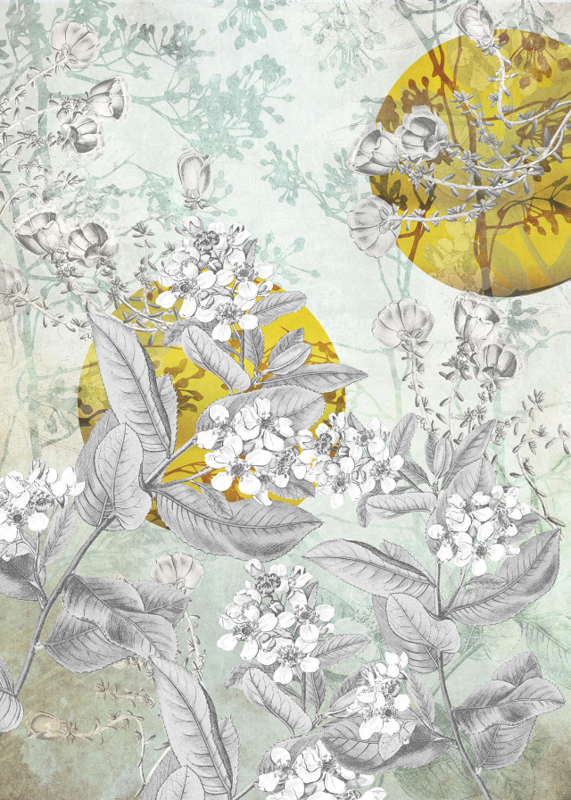 Golden Sun - Botanical Gold Serenity | Komar®