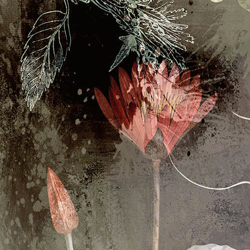 Photomurals | Digitally printed photomural "Night Flowers" by Komar®