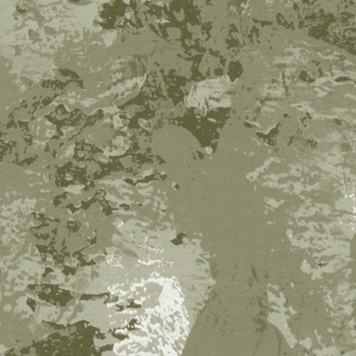 Photomurals | Digitally printed photomural "Fading Forest" by Komar®