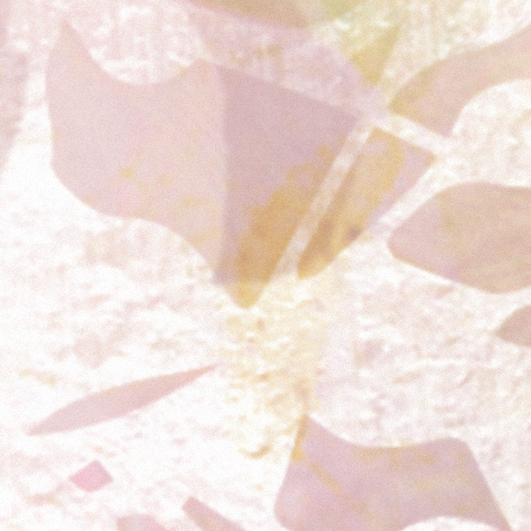 Photomurals | Digitally printed photomural "Sense" by Komar®