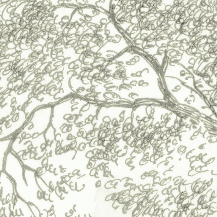 Photomurals | Digital print photomural "Noble Trees" by Komar