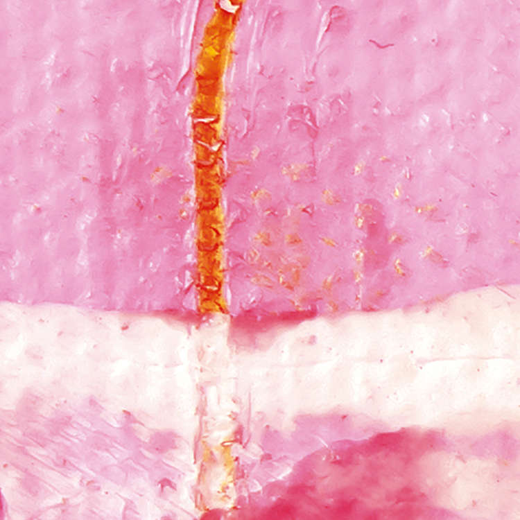 Fototapeten | Digitaldrucktapete "Cells Wrapping" von Komar®