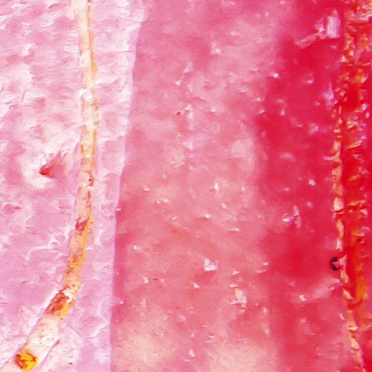 Fototapeten | Digitaldrucktapete "Cells Wrapping" von Komar®