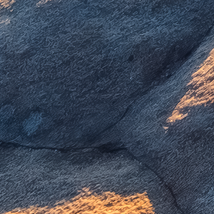 Photomurals | Digitally printed photomural "Elephant Skin" by Komar®