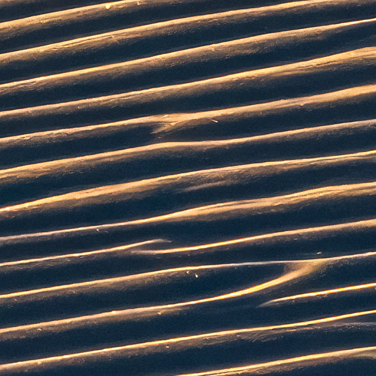 Photomurals | Digitally printed photomural "Body Lines" by Komar®