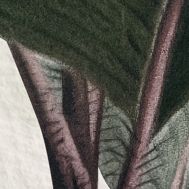 Photomurals | Digitally printed photomural "Jungle Spot" by Komar®