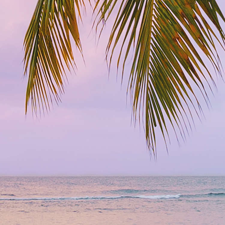 Photomurals Digitally Printed Photomural Paradise Morning By Komar®